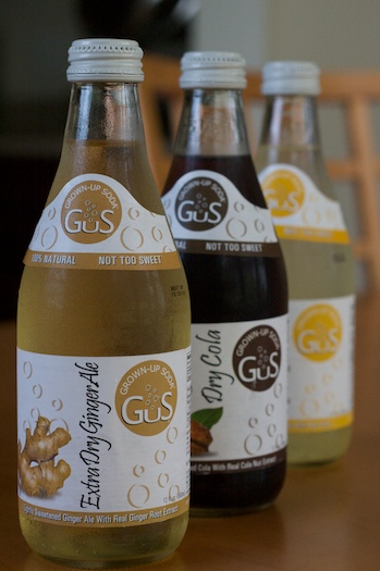 Review: GUS – Grown-Up Soda – Erin Cooks
